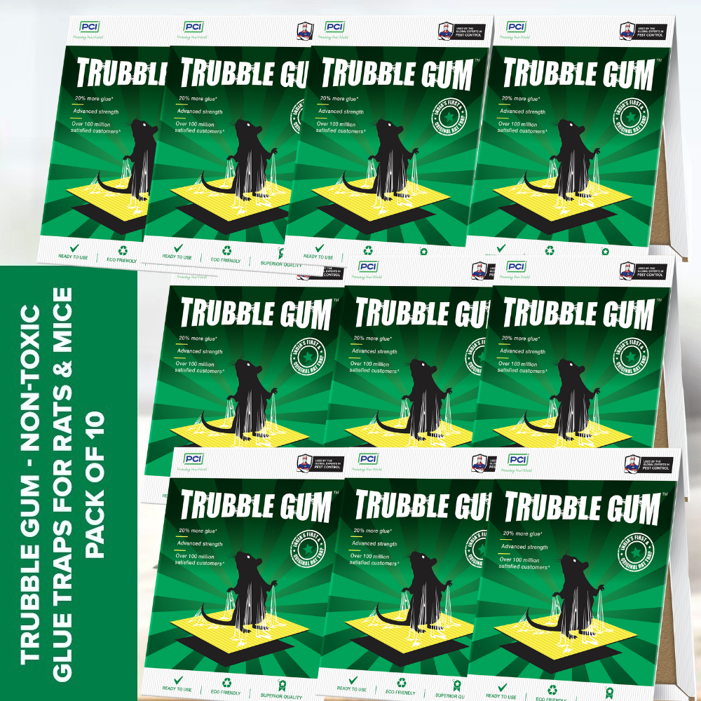 Shop Trubble Gum Rat Trap Pack of 10 | PCI HiCare